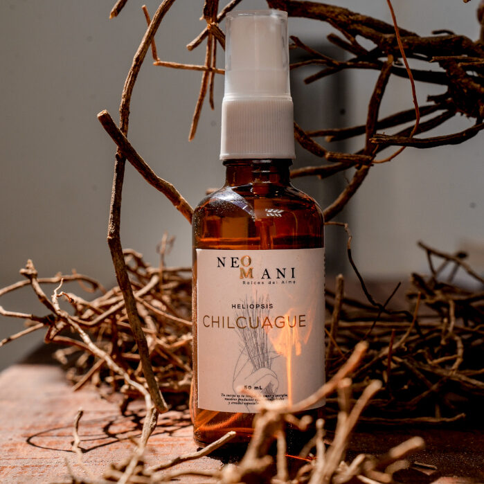 Chilcuague/ Heliopsis Longipes